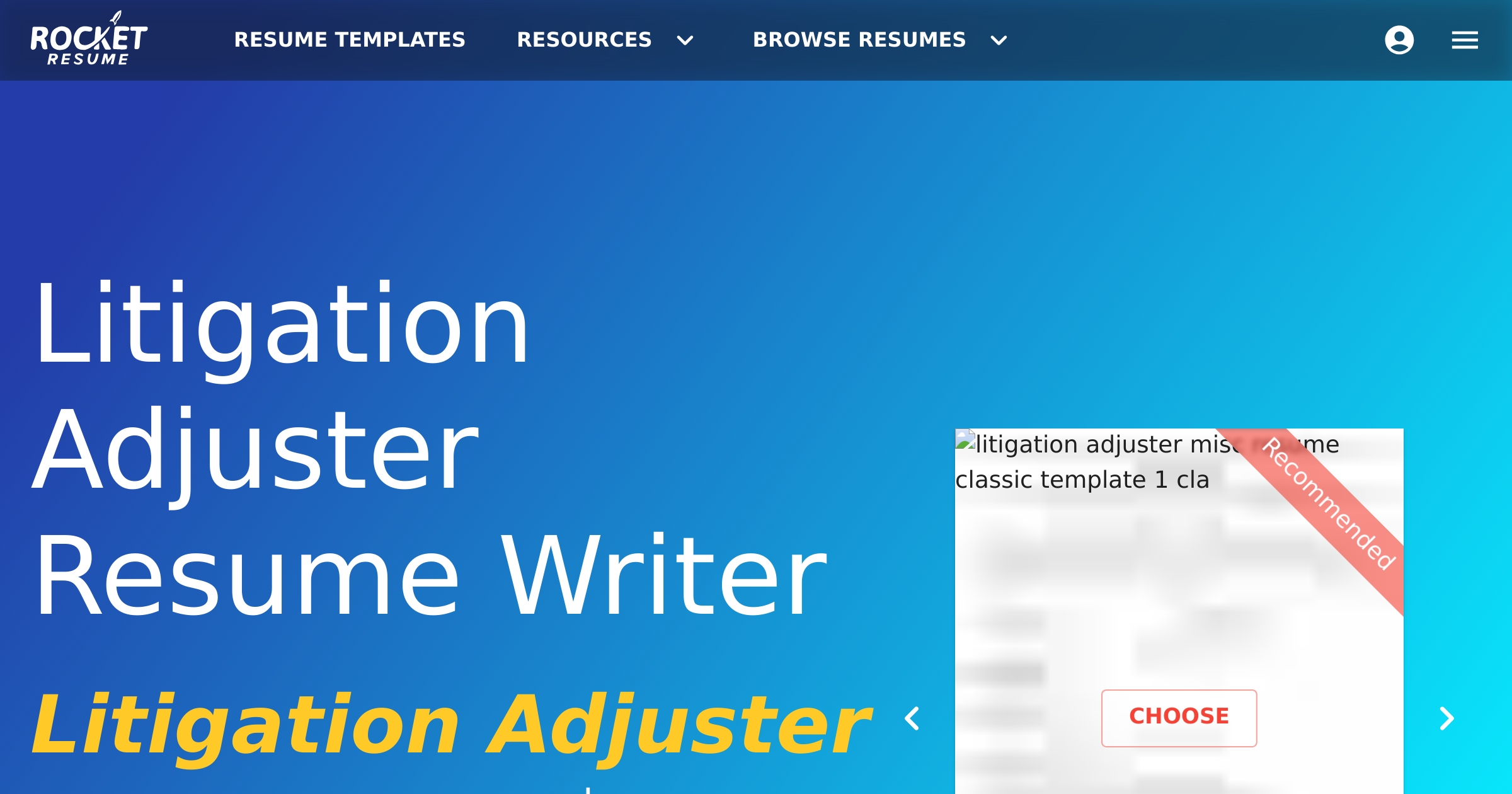 Litigation Adjuster Resume Writer | Rocket Resume
